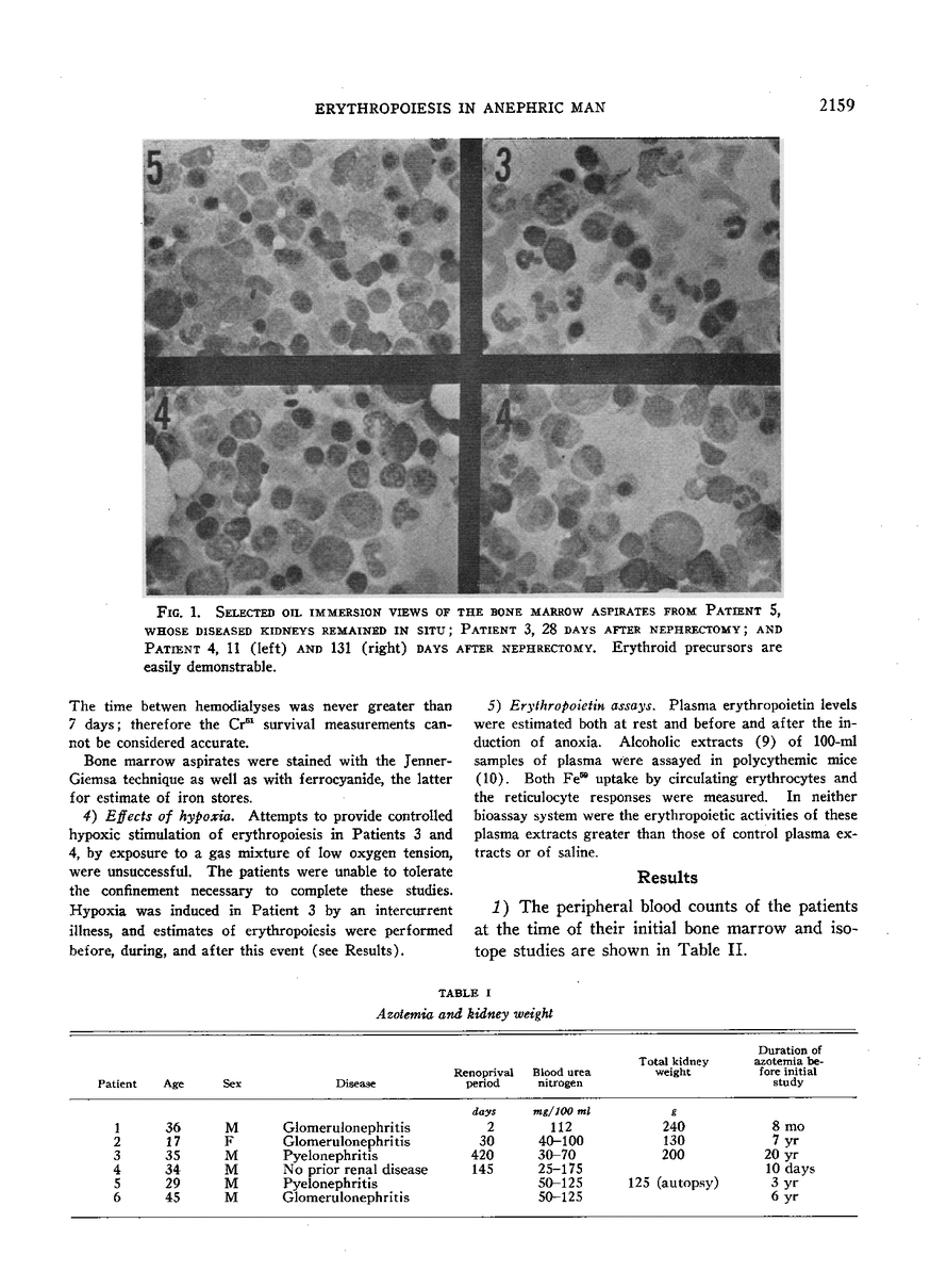 JCI - Erythropoiesis in Anephric Man