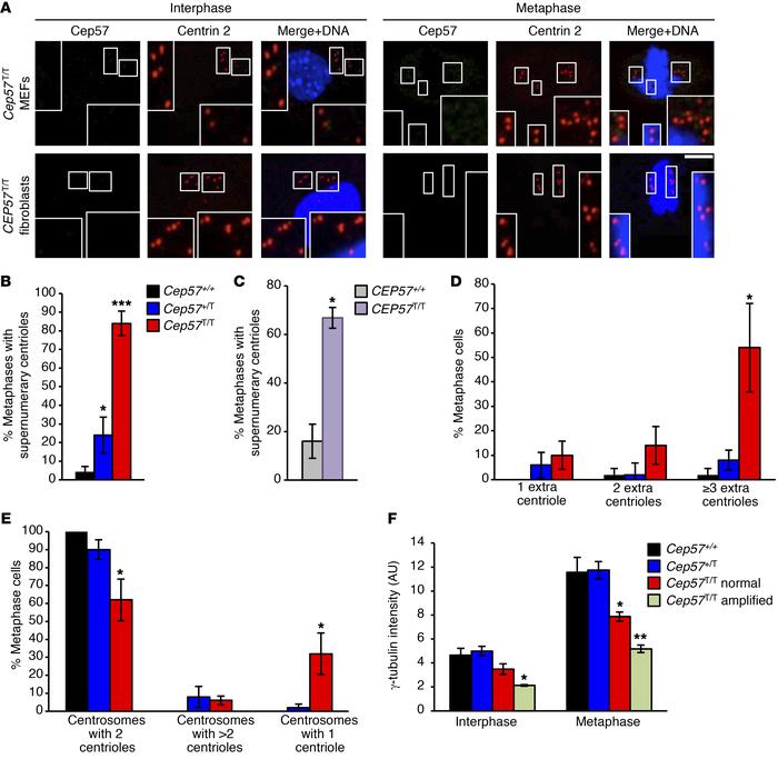 JCI - Mosaic-variegated aneuploidy syndrome mutation or ...