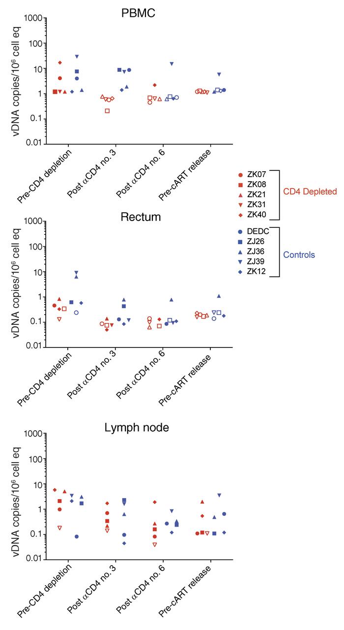 JCI - Antibody-mediated depletion of viral reservoirs is limited in SIV ...