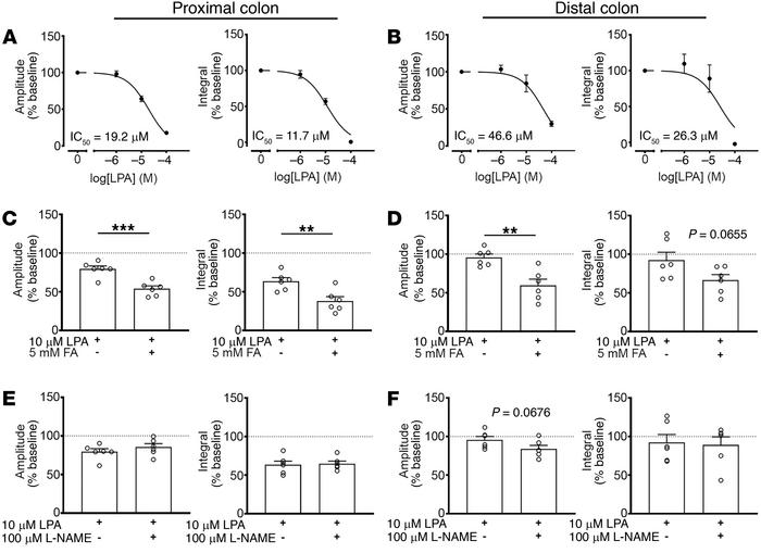 JCI - LPAR1 regulates enteric nervous system function through glial ...