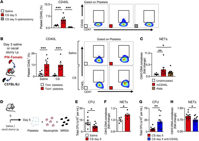 JCI - Sepsis promotes splenic production of a protective platelet pool ...
