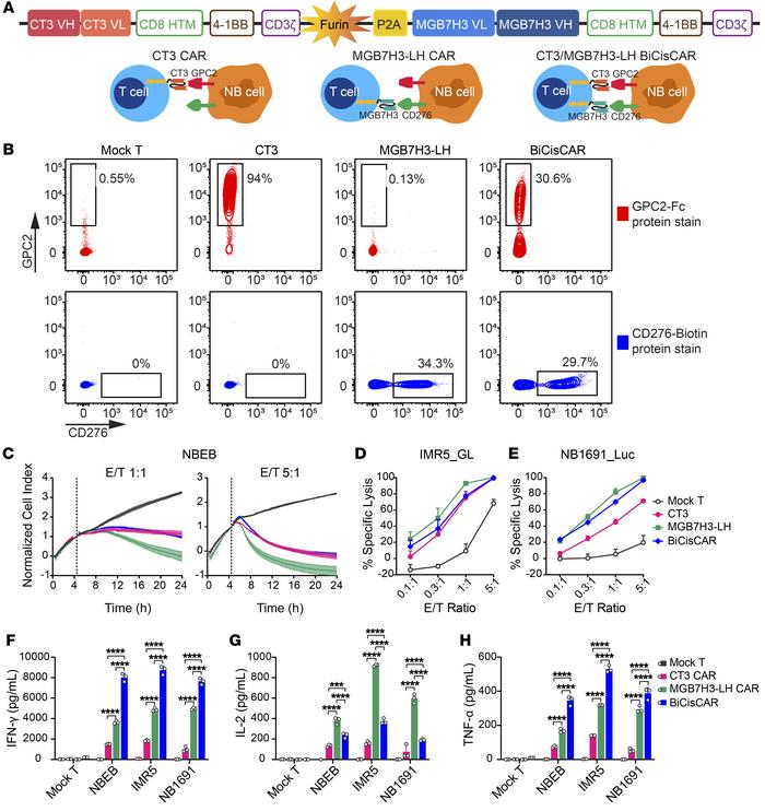 JCI - An optimized bicistronic chimeric antigen receptor against GPC2 ...