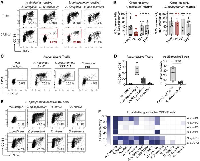 JCI - Antigen specificity and cross-reactivity drive functionally ...