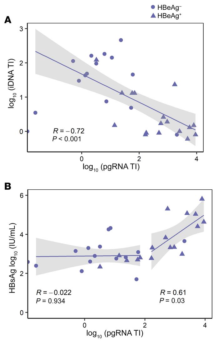 JCI - Integrated hepatitis B virus DNA maintains surface antigen ...