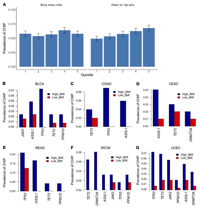 JCI - Obesity-induced inflammation exacerbates clonal hematopoiesis