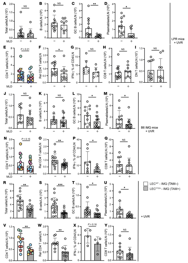 JCI - Lymphatic dysfunction in lupus contributes to cutaneous ...