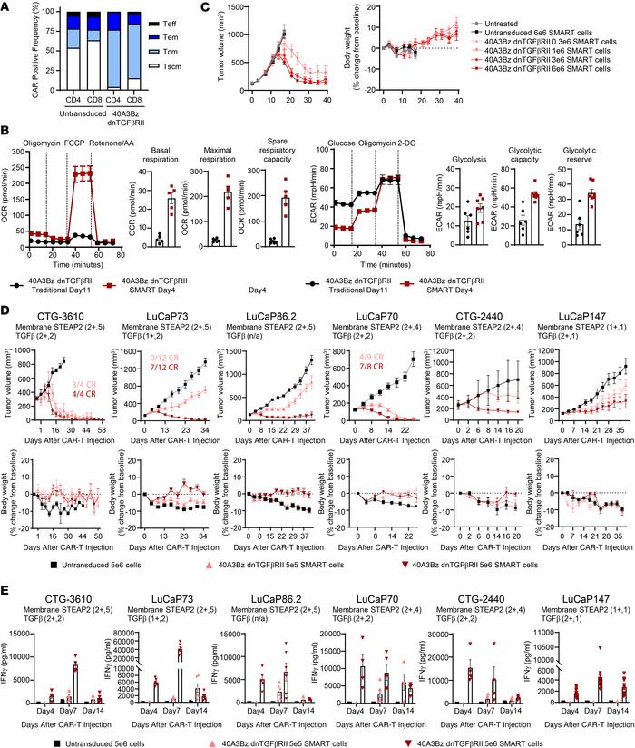 JCI - Antitumor activity of AZD0754, a dnTGFβRII-armored, STEAP2 ...