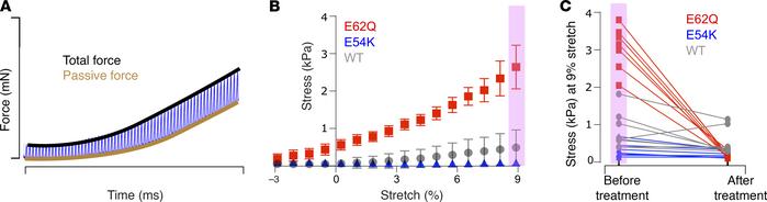 JCI - Distinct mechanisms drive divergent phenotypes in hypertrophic ...