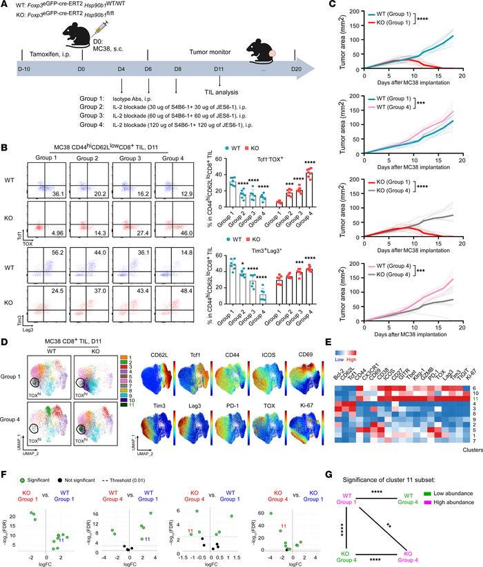 JCI - Spatial and functional targeting of intratumoral Tregs reverses ...