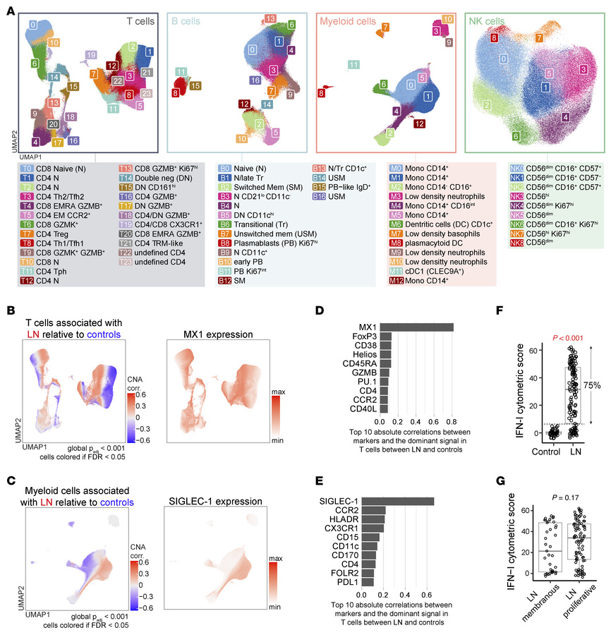 JCI - Blood immunophenotyping identifies distinct kidney histopathology ...