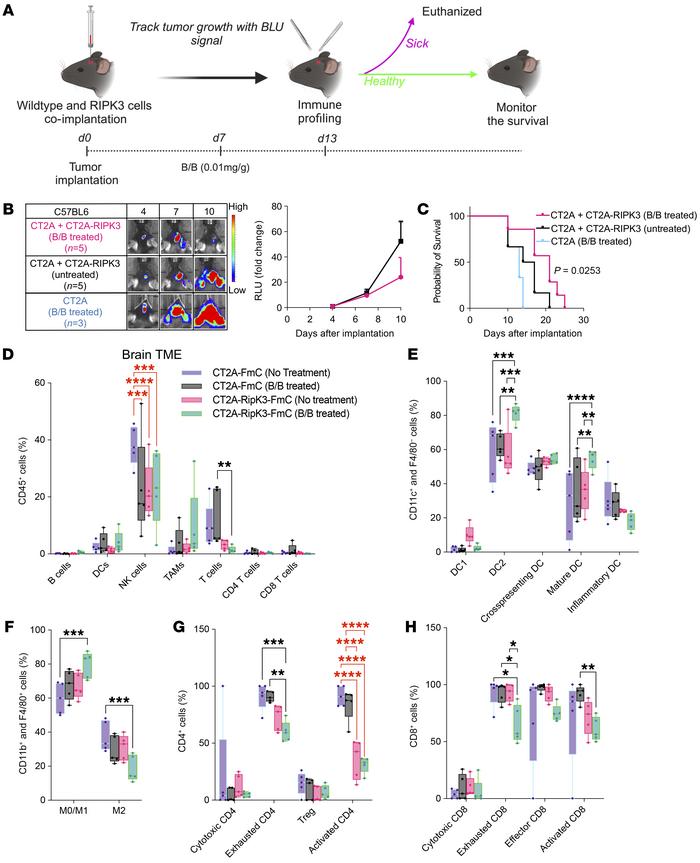 JCI - An inducible RIPK3-driven necroptotic system enhances cancer cell ...