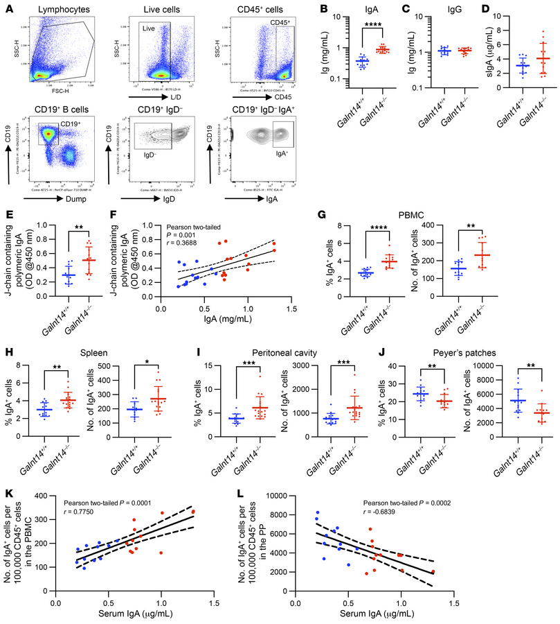 JCI - Loss of GalNAc-T14 links O-glycosylation defects to alterations ...