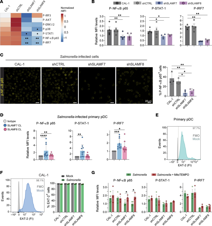 JCI - SLAMF7 and SLAMF8 receptors shape human plasmacytoid dendritic ...