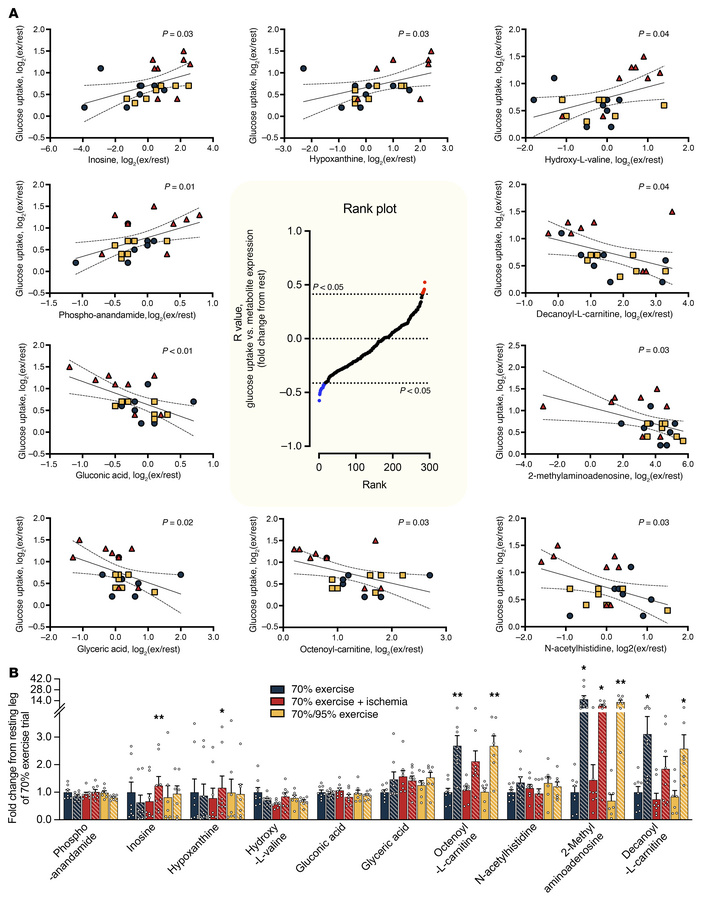 JCI - Intermittent ischemia/reperfusion as a potent insulin-sensitizing ...