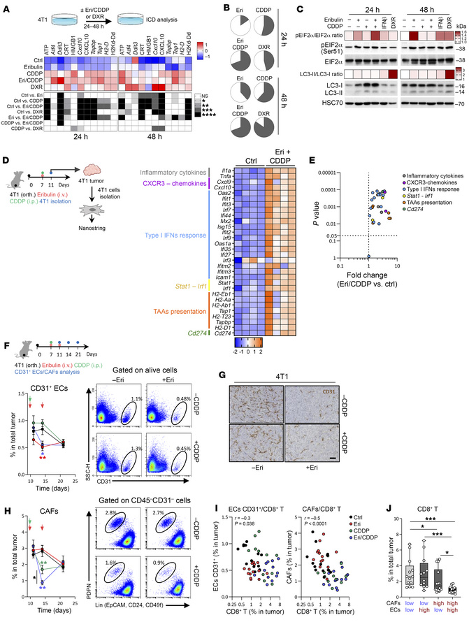 JCI - Co-targeting TGF-β and PD-L1 sensitizes triple-negative breast ...