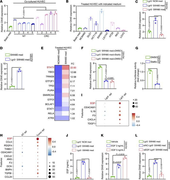 JCI - Endothelial OX40 activation facilitates tumor cell escape from T ...