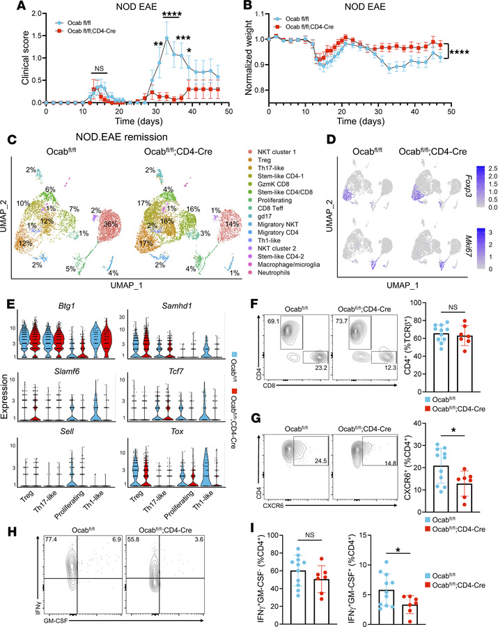 JCI - OCA-B promotes pathogenic maturation of stem-like CD4+ T cells ...