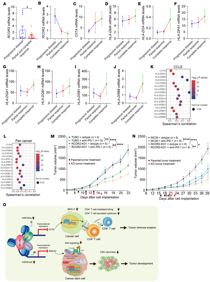 JCI - Tumoral RCOR2 promotes tumor development through dual epigenetic ...