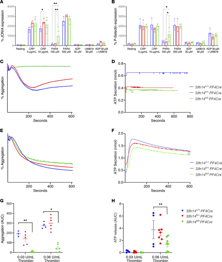 JCI - Platelet-specific SLFN14 deletion causes macrothrombocytopenia ...