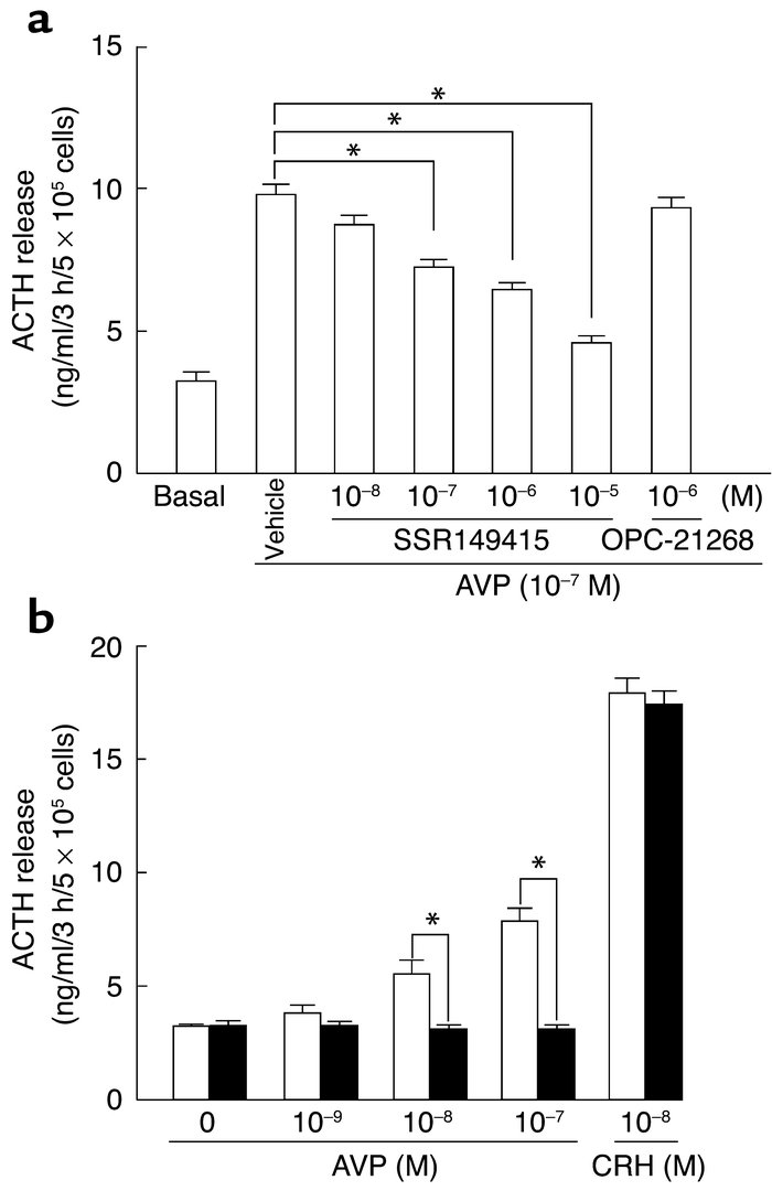 JCI - The vasopressin V1b receptor critically regulates hypothalamic ...