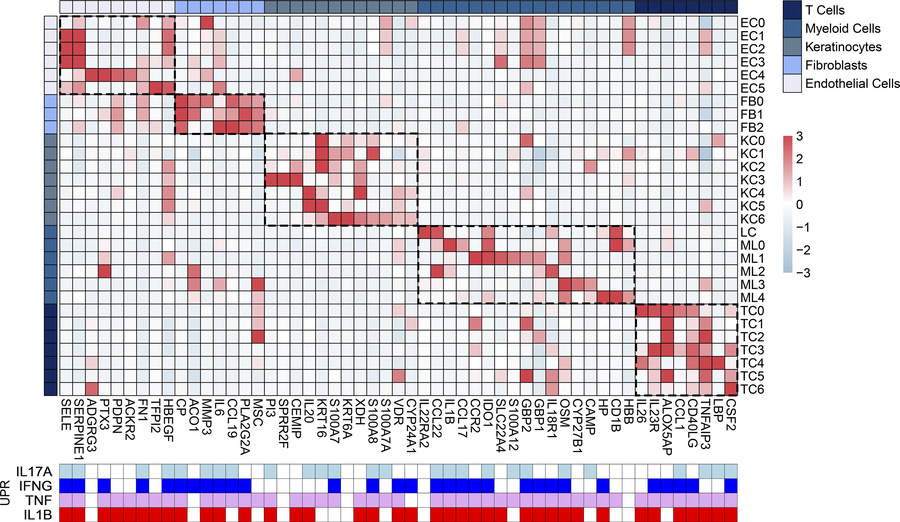 JCI - Dynamics of Th1/Th17 responses and antimicrobial pathways in ...