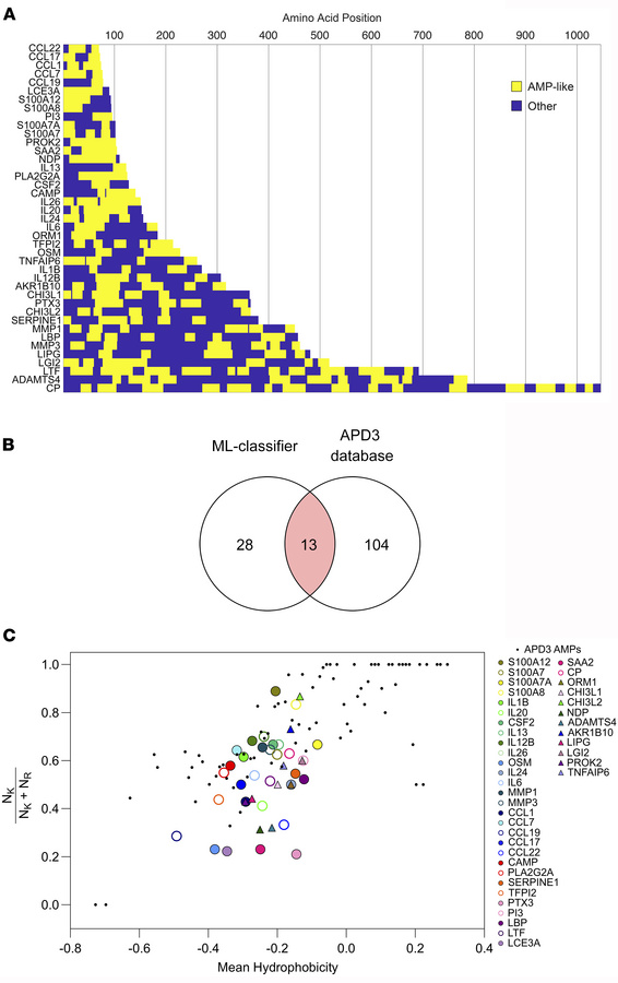 JCI - Dynamics of Th1/Th17 responses and antimicrobial pathways in ...