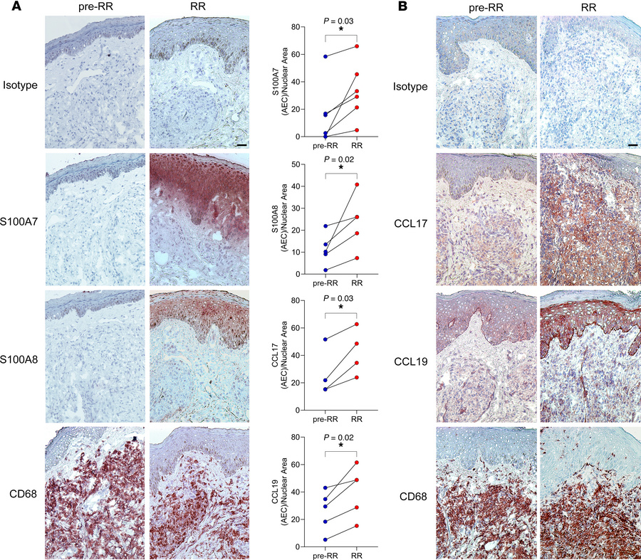 JCI - Dynamics of Th1/Th17 responses and antimicrobial pathways in ...