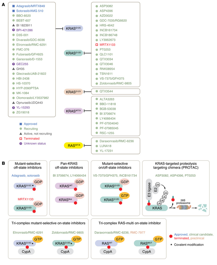 JCI - KRAS: the Achilles’ heel of pancreas cancer biology