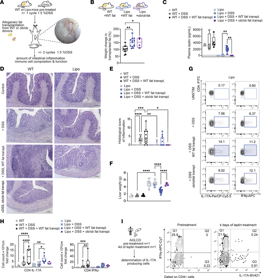JCI - Characterization of intestinal immune responses in generalized ...