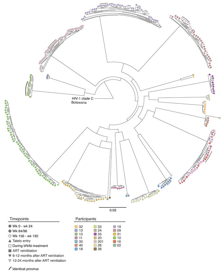 JCI - Immune correlates of HIV-1 rebound during broadly neutralizing ...