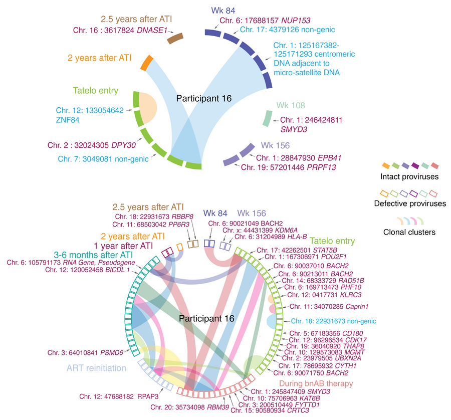 JCI - Immune correlates of HIV-1 rebound during broadly neutralizing ...