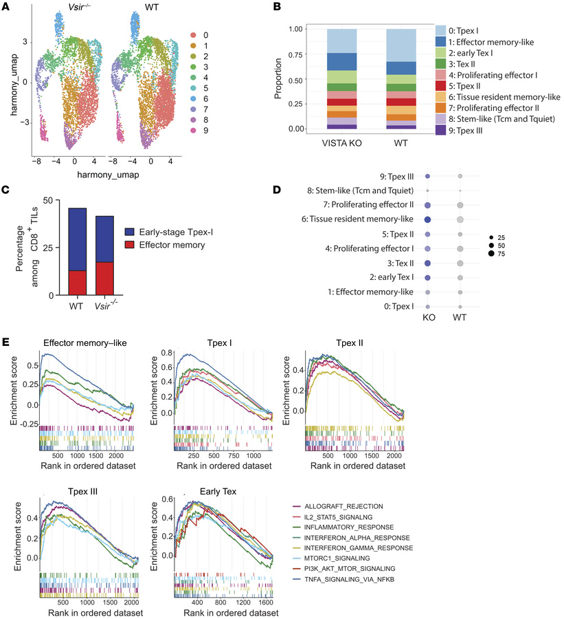 JCI - T cell–intrinsic VISTA expression promotes resistance to CTLA-4 ...