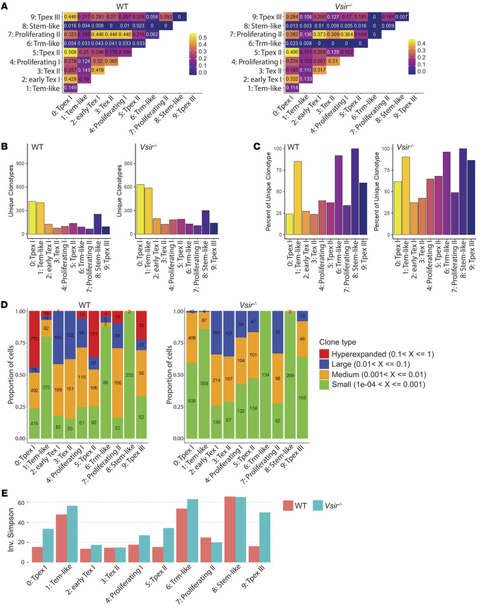 JCI - T cell–intrinsic VISTA expression promotes resistance to CTLA-4 ...