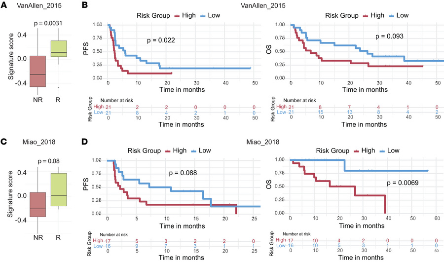 JCI - T cell–intrinsic VISTA expression promotes resistance to CTLA-4 ...