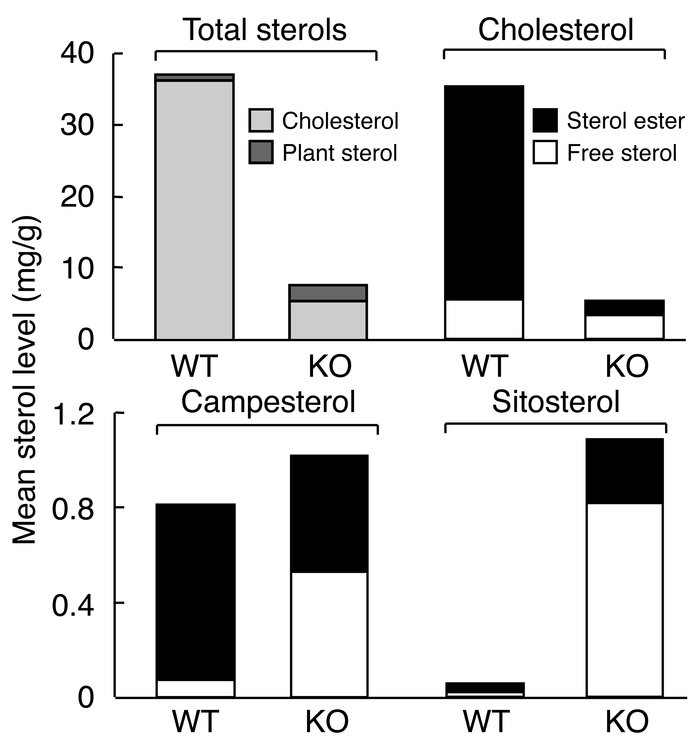 JCI - Disruption of cholesterol homeostasis by plant sterols