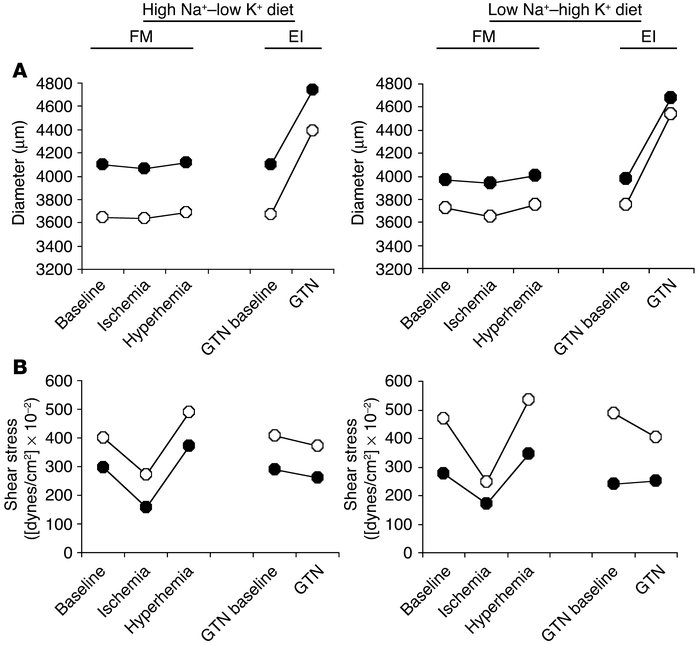 JCI - Arterial and renal consequences of partial genetic deficiency in ...