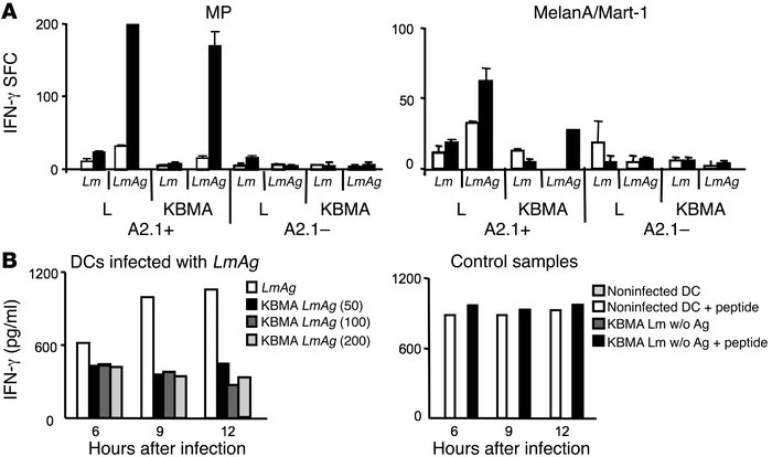 JCI - KBMA Listeria monocytogenes is an effective vector for DC ...