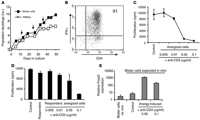 JCI - The kinetics of CD4+Foxp3+ T cell accumulation during a human ...