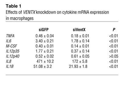 JCI - The homeobox transcription factor VentX controls human macrophage ...
