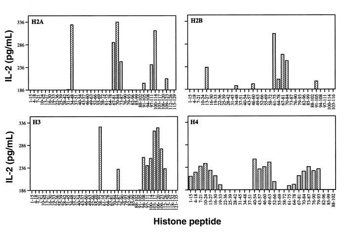 JCI - Major peptide autoepitopes for nucleosome-specific T cells of ...