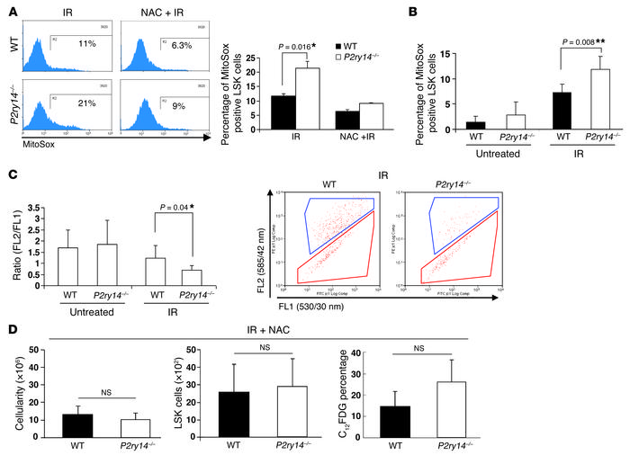JCI - Purinergic P2Y14 receptor modulates stress-induced hematopoietic ...