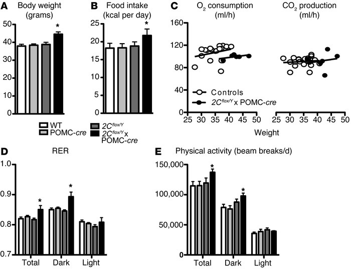 JCI - Serotonin 2C receptors in pro-opiomelanocortin neurons regulate ...