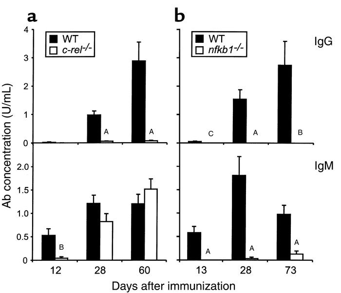 JCI - Distinct roles for the NF-κB1 (p50) and c-Rel transcription ...