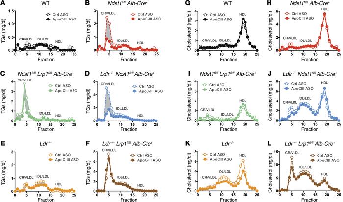 JCI - ApoC-III inhibits clearance of triglyceride-rich lipoproteins ...