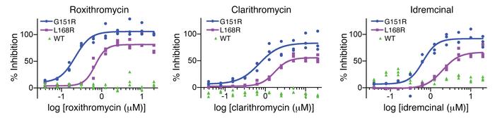 JCI - Macrolides selectively inhibit mutant KCNJ5 potassium channels that cause aldosterone ...