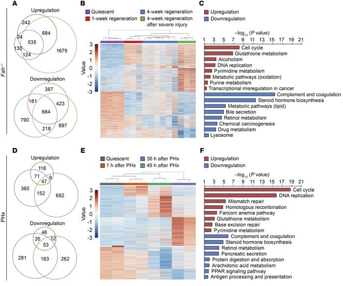 JCI - TRAP-seq identifies cystine/glutamate antiporter as a driver of ...