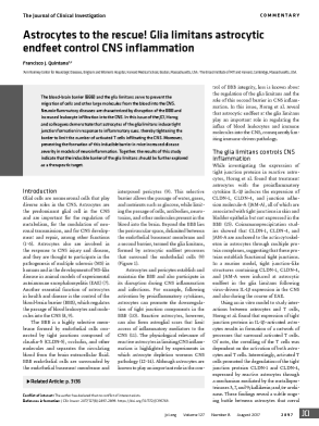 JCI - Astrocytes to the rescue! Glia limitans astrocytic endfeet ...